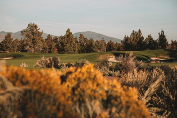 Pronghorn Club Nicklaus Gallery - Juniper Preserve